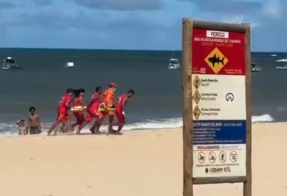 Tubarão que atacou menino de 11 anos é da espécie cabeça-chata, segundo ...